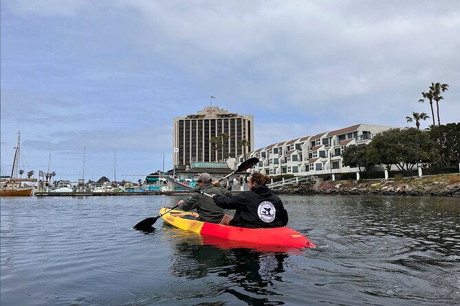 Clear Bottomed Kayak Rentals in San Diego - Clear Bottomed Kayak Rentals in San Diego: A Practical Guide