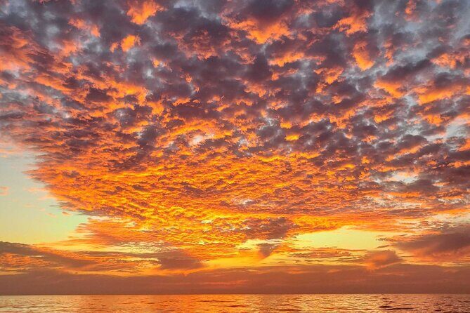 Clear Bottomed Kayak Rentals in San Diego - Why It Works for Different Types of Travelers