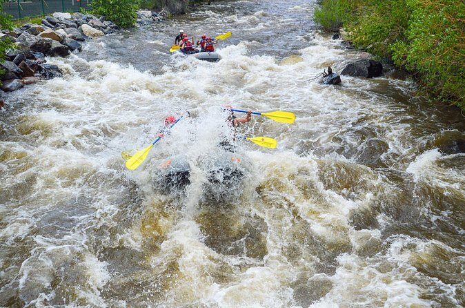 Clear Creek Intermediate 2h 30m Rafting Trip - Idaho Springs, CO - Pricing & Value Analysis