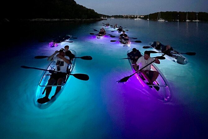Clear Kayak Glow Night Tour - Key Points