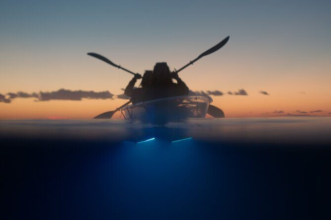 Clear Kayak Glow Night Tour - Why This Tour Offers Great Value