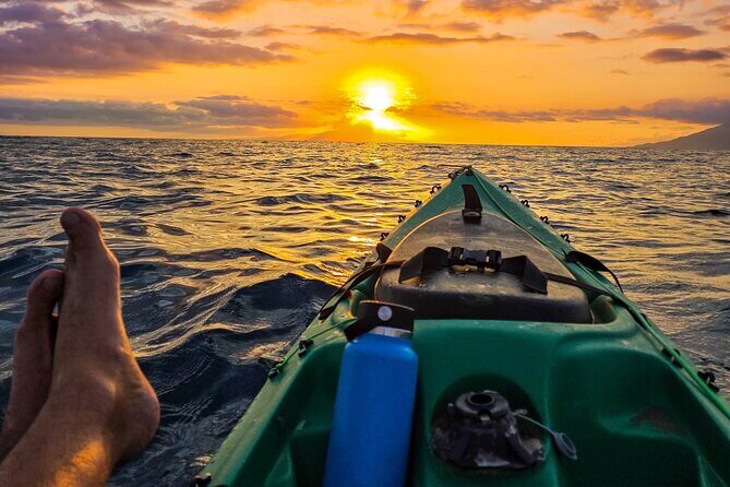 Clear Kayak Sunset and Glow Tour in Maui - Key Points