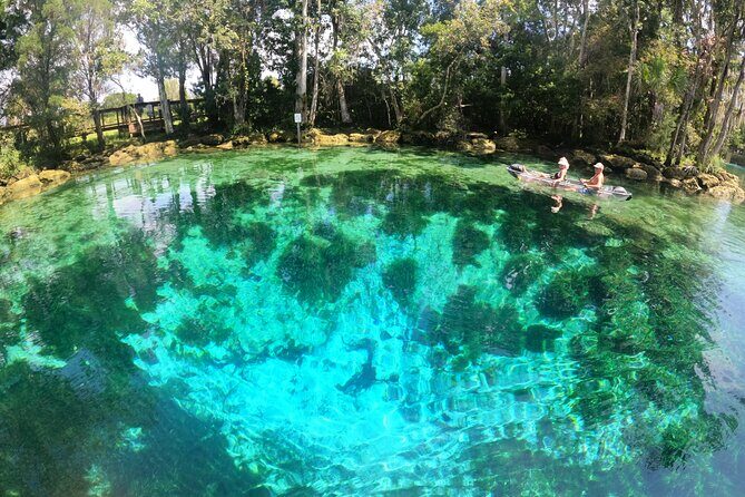 Clear Kayak Three Sisters Springs Sunset and Glow Tour - Practical Details: What You Need to Know