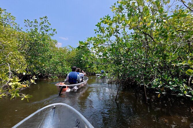 Clear Kayak Tour of Tarpon Springs Sponge Docks & Mangroves - Key Points