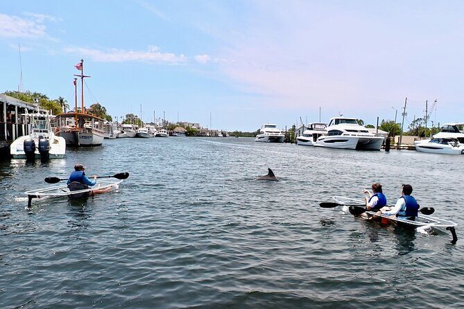 Clear Kayak Tour of Tarpon Springs Sponge Docks & Mangroves - A Closer Look at the Experience
