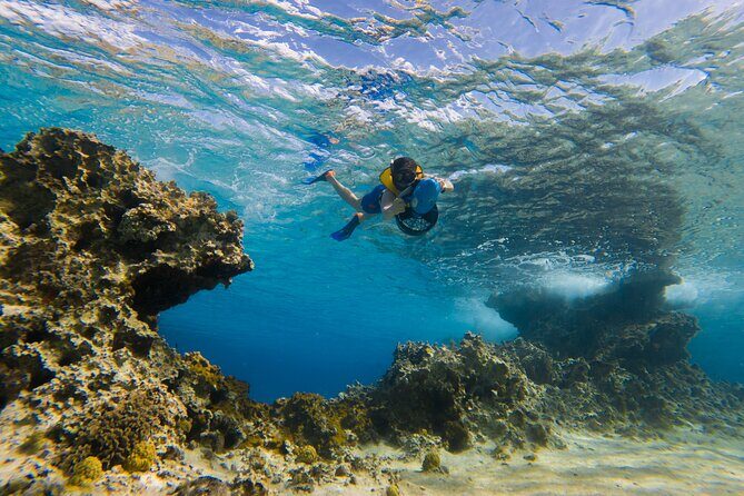 Clear Kayaking, Sea Scooters Adventure - Practical Tips for Participants