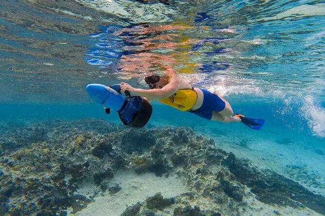 Clear Kayaking, Sea Scooters Adventure - Who Will Love This Experience?