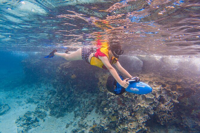 Clear Kayaking, Sea Scooters Adventure - FAQs