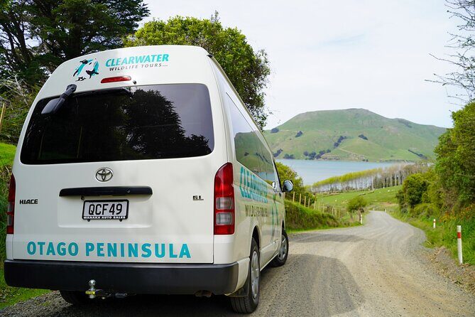 Clearwater Private Penguin & Wildlife Tour from Port Otago (5hrs) - Frequently Asked Questions