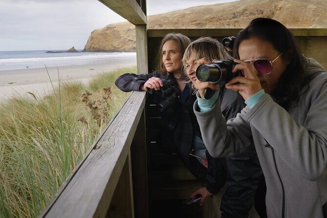 Clearwater Wildlife Tours (small group 10max) Otago Peninsula - Who Is This Tour Best For?