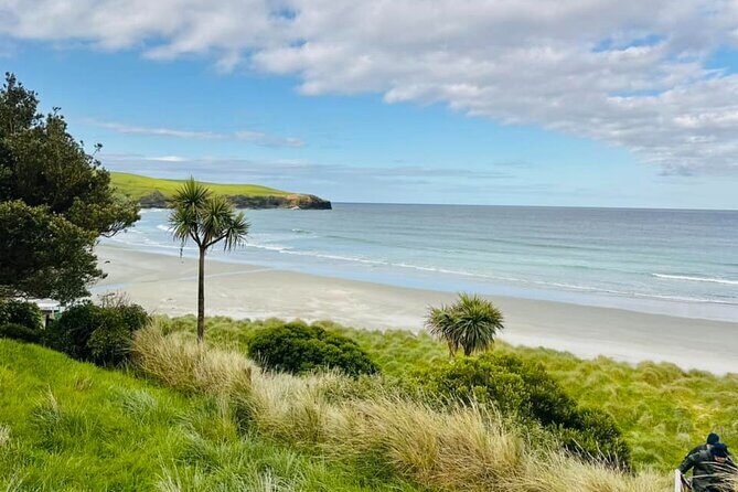 Clearwater Wildlife Tours (small group 10max) Otago Peninsula - Final Thoughts