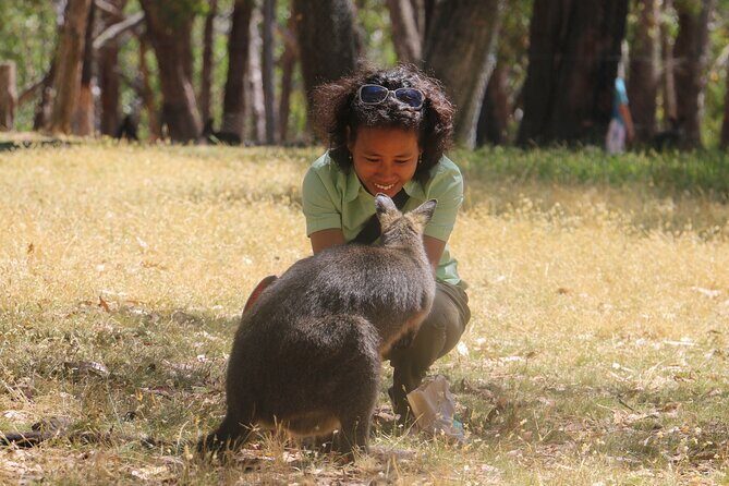 Cleland Wildlife Park Experience - from Adelaide including Mt Lofty Summit - Final Thoughts