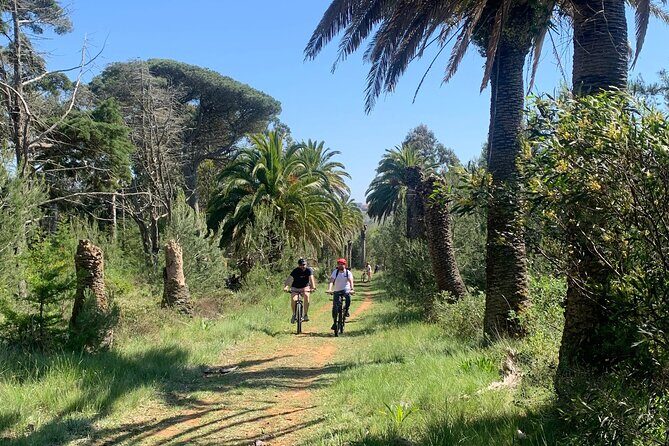 Cliff Top Ride - FAQ