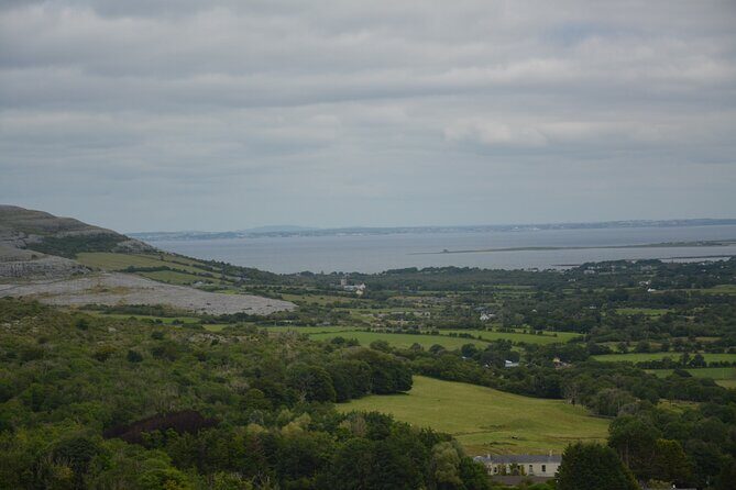 Cliffs of Moher and Burren Private Tour from Galway - Who Will Love This Tour?