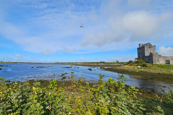 Cliffs of Moher from Dublin Full Day - Private Driver - Authentic Experiences and Insights from Reviewers