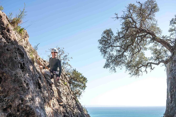 Climbing Experience in Arrábida - The Experience: What to Expect and Why It Matters
