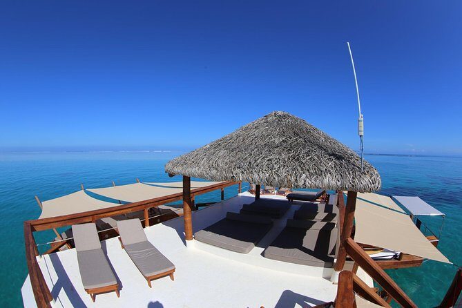 Cloud 9 Half Day Tour Inclusive of Food & Bar Coupon Plus Transfers - Introduction: Why This Tour Might Be Your Best Fiji Day Out