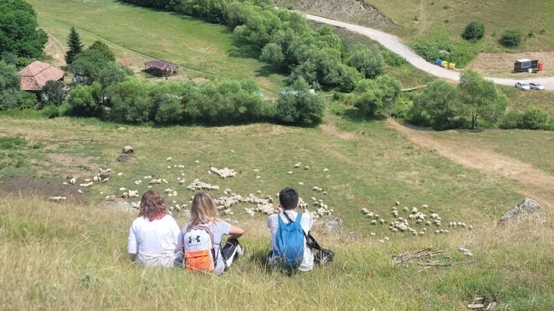 Cluj: Outdoor Activities Day Trip with Zip Line and Hike - Why You Should Consider This Tour