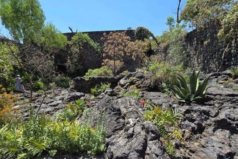 CMDX: Luis Barragan Legacy Exclusive Tour at Casa Pedregal - The Value of This Tour