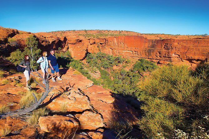 Coach Transfer from Ayers Rock (Uluru) to Kings Canyon - Key Points