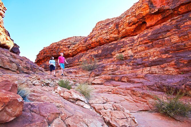 Coach Transfer from Kings Canyon Resort to Ayers Rock (Uluru) - The Experience in Detail