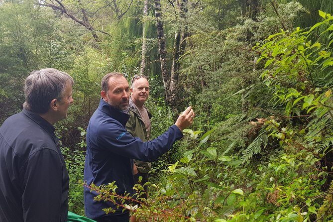 Coast and Rainforest Eco-Tour from Auckland with Picnic Lunch - Key Points