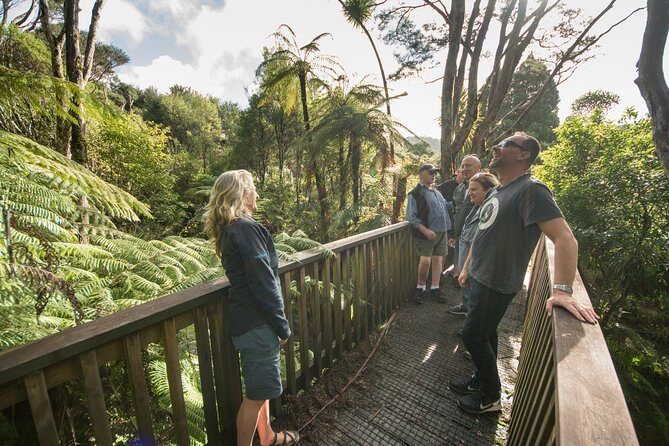 Coast and Rainforest Eco-Tour from Auckland with Picnic Lunch - In The Sum Up