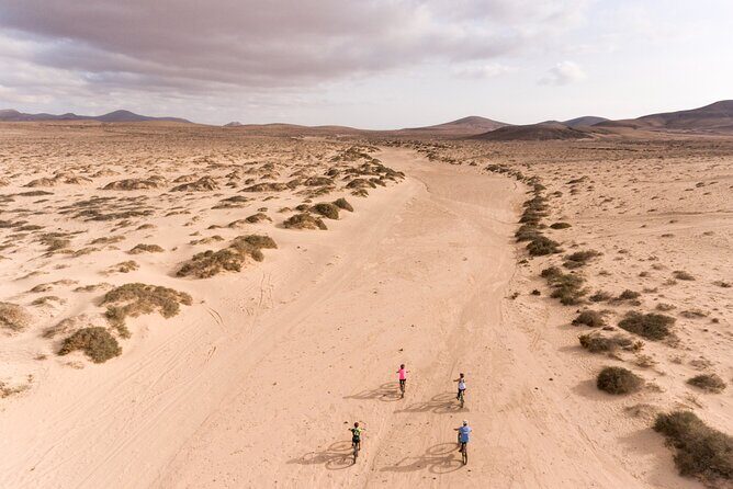 Coast to Coast PREMIUM eBike Tour; moderate level - 45 km - The Sum Up: Is It Worth It?