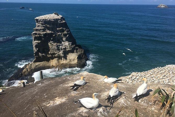 Coast to Coast Private Eco Tour - Who Would Benefit Most?