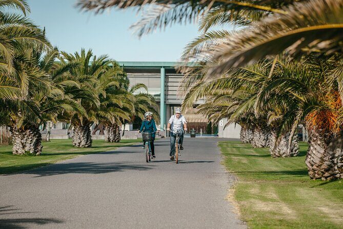 Coast to Country Winery Cycle Tour - Key Points