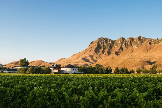 Coast to Country Winery Cycle Tour - The Cycling Experience: What You Can Expect