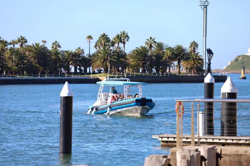 Coastal 2.5-hour Adventure Boat Tour from Newcastle - What to Expect from the Coastal Adventure Boat Tour