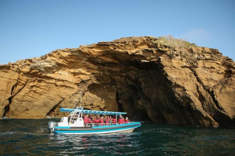 Coastal 2.5-hour Adventure Boat Tour from Newcastle - Practical Details & Tips
