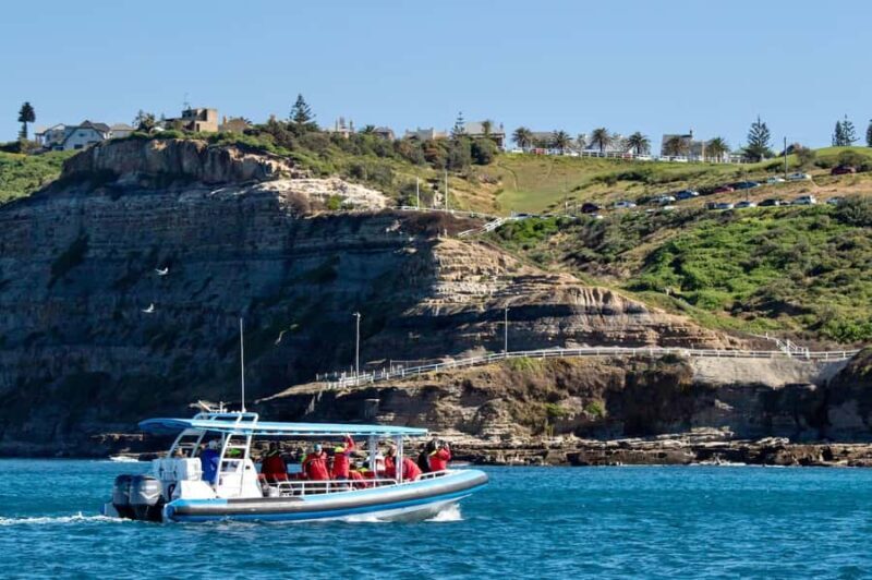 Coastal 2.5-hour Adventure Boat Tour from Newcastle - The Cost & Value
