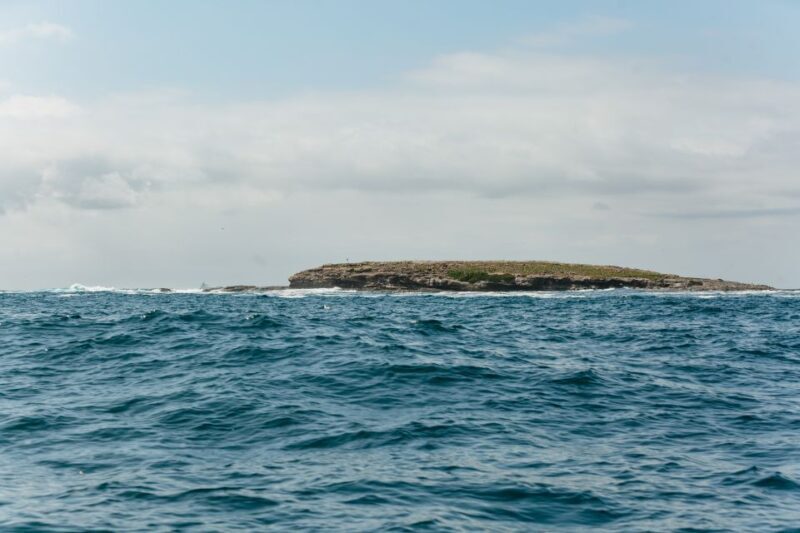 Coastal 2.5-hour Adventure Boat Tour from Newcastle - What Reviewers Say