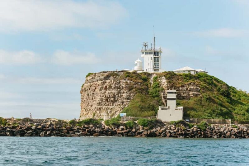 Coastal 2.5-hour Adventure Boat Tour from Newcastle - The Sum Up
