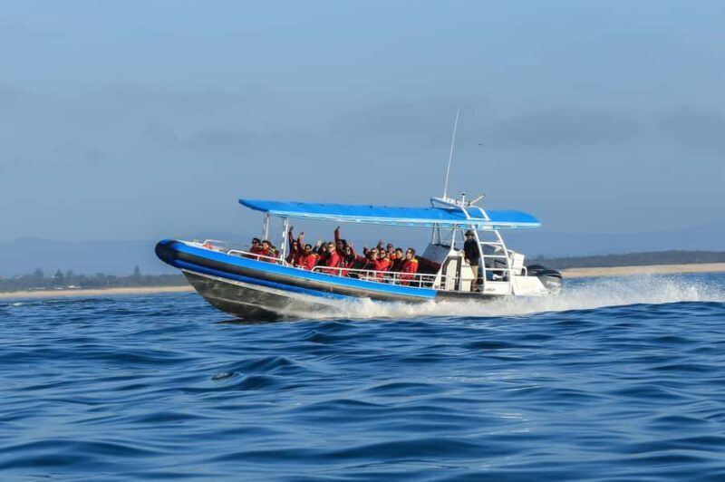Coastal 2.5-hour Adventure Boat Tour from Newcastle - FAQ
