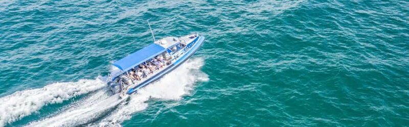 Coastal Boat Tour from Lake Macquarie - Final Thoughts