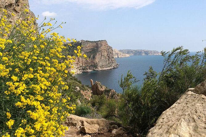 Coastal Cliffs & Beaches: Private Full Day Tour - Final Thoughts: Is This Tour for You?