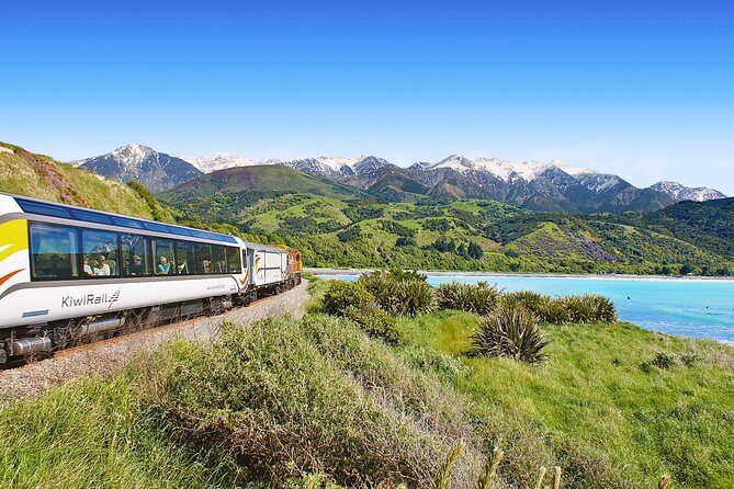 Coastal Pacific Train Journey from Christchurch to Picton - The Itinerary and Experience