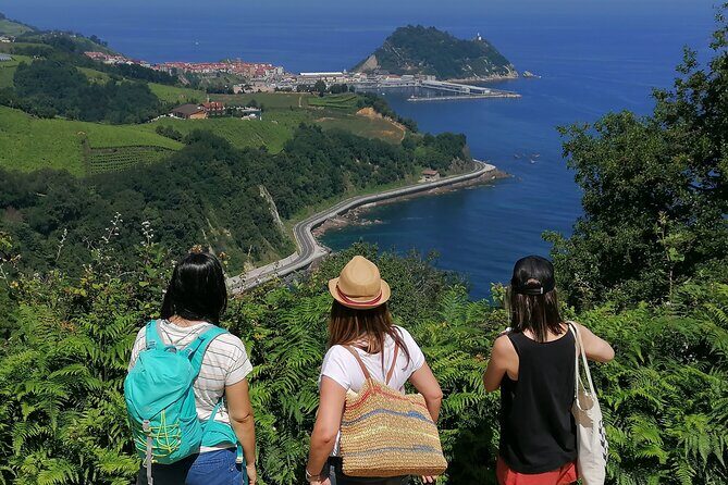 Coastal "Winery Camino Trail" Walking Tour from San Sebastian - Introduction: How This Tour Brings the Basque Coast to Life