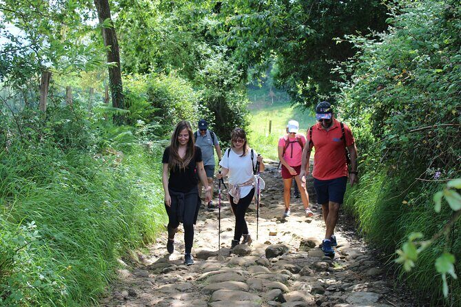 Coastal "Winery Camino Trail" Walking Tour from San Sebastian - Key Points