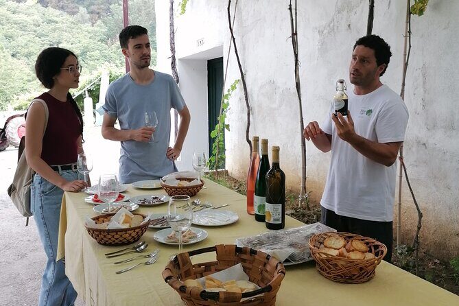 Coastal "Winery Camino Trail" Walking Tour from San Sebastian - Practical Details and Tips