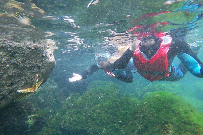 Coasteering adventure with snorkeling: kids version - Key Points