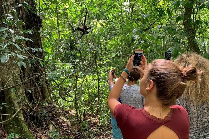 Coba & Monkey Sanctuary Punta Laguna Private Tour - Who Is This Tour Best For?