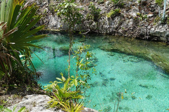 Coba, Tulum, Cenote and Mayan Village All Inclusive Tour - FAQ
