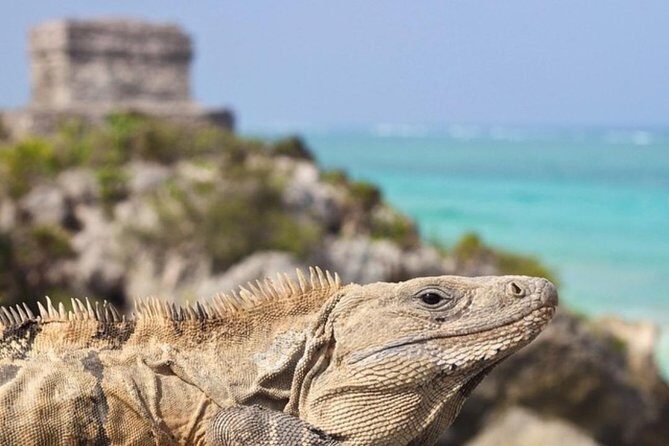 Coba, Tulum & Cenote swim - Key Points