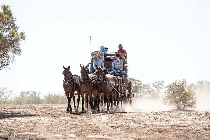 Cobb & Co Stagecoach Experience in Longreach - A Closer Look at the Tour Experience