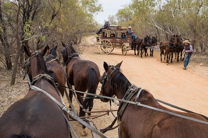 Cobb & Co Stagecoach Experience in Longreach - FAQ