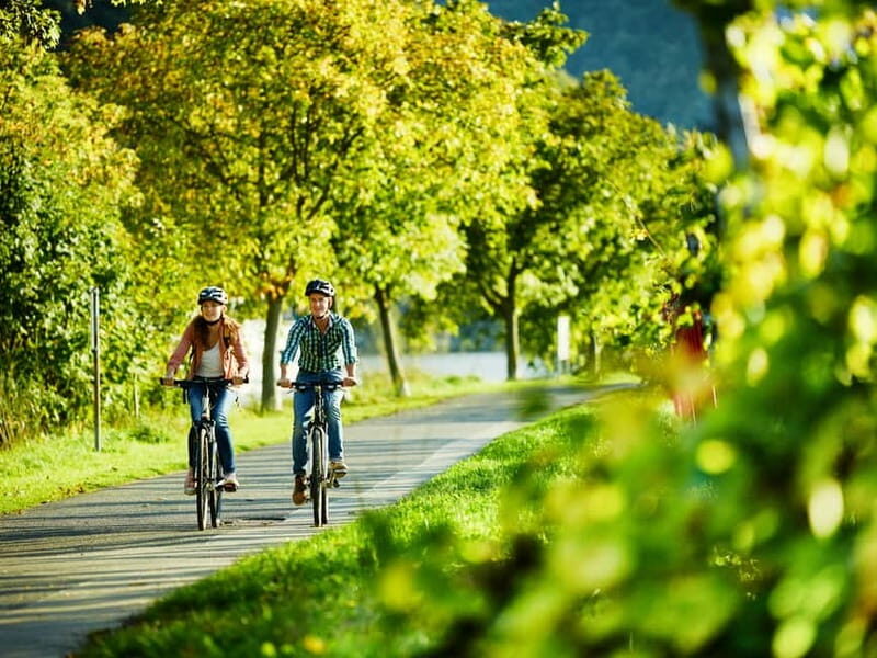 Cochem: Bike and Boat Tour with Picnic and Wine Tasting - Cochem: Bike and Boat Tour with Picnic and Wine Tasting — A Practical Look at a Scenic German Experience
